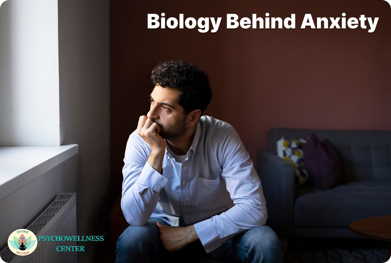 Biology Behind Anxiety | Psychowellness center